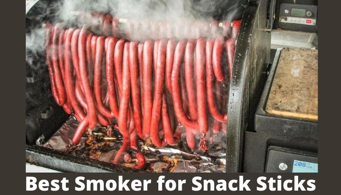 5 Best Smoker for Snack Sticks Complete Reviews